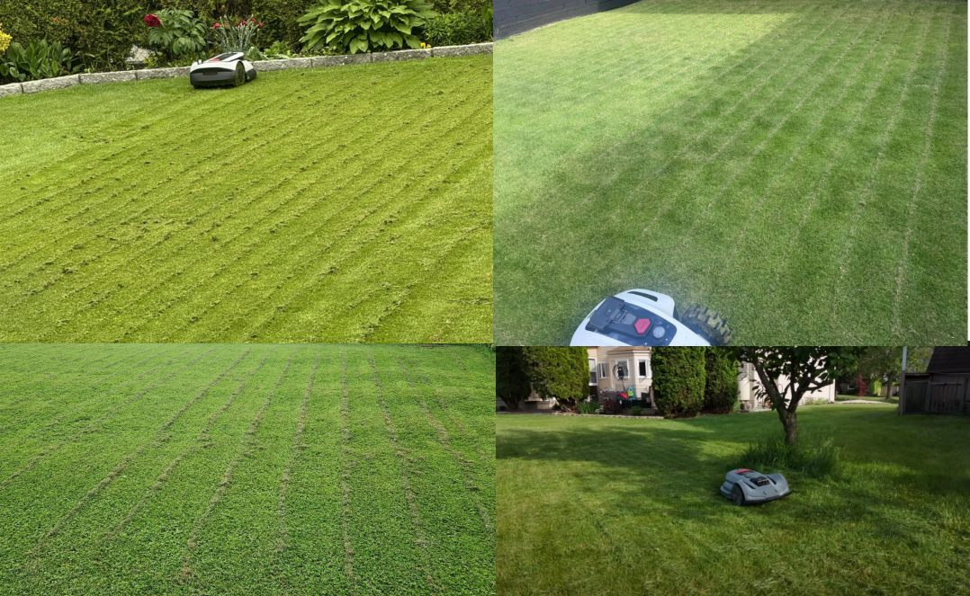 Why Are There Strips of Grass Clippings Left on My Lawn? – Hookii ...